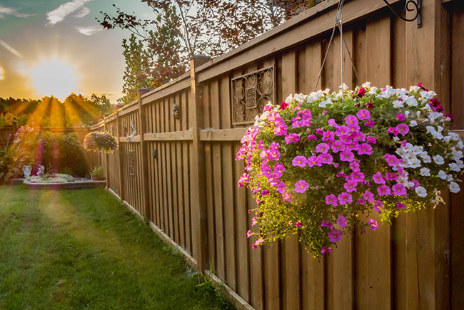 Add Beauty and Interest to Your Property with Decorative Fencing ...